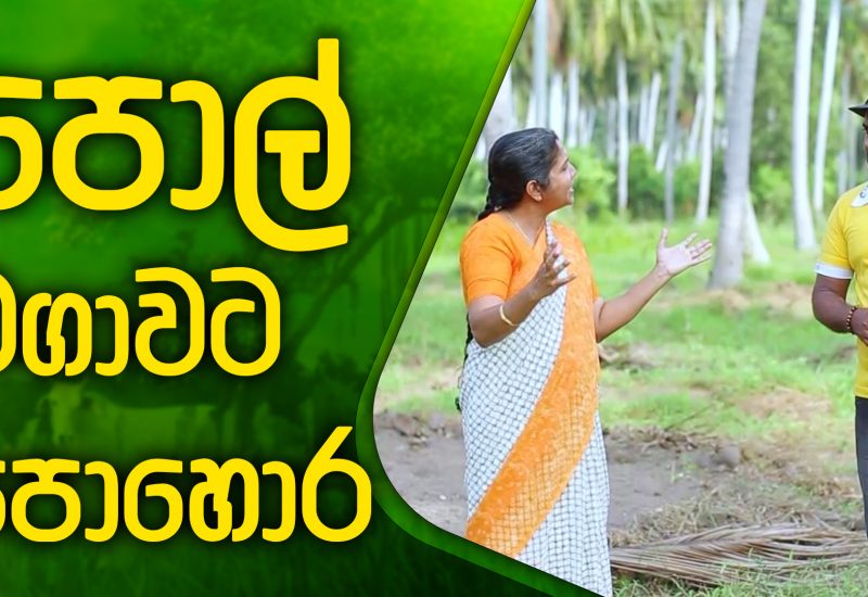 Wasantha Rohana - Charana TV