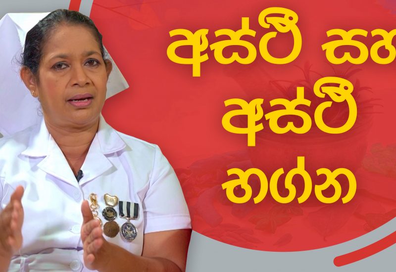 Wasantha Rohana - Charana TV